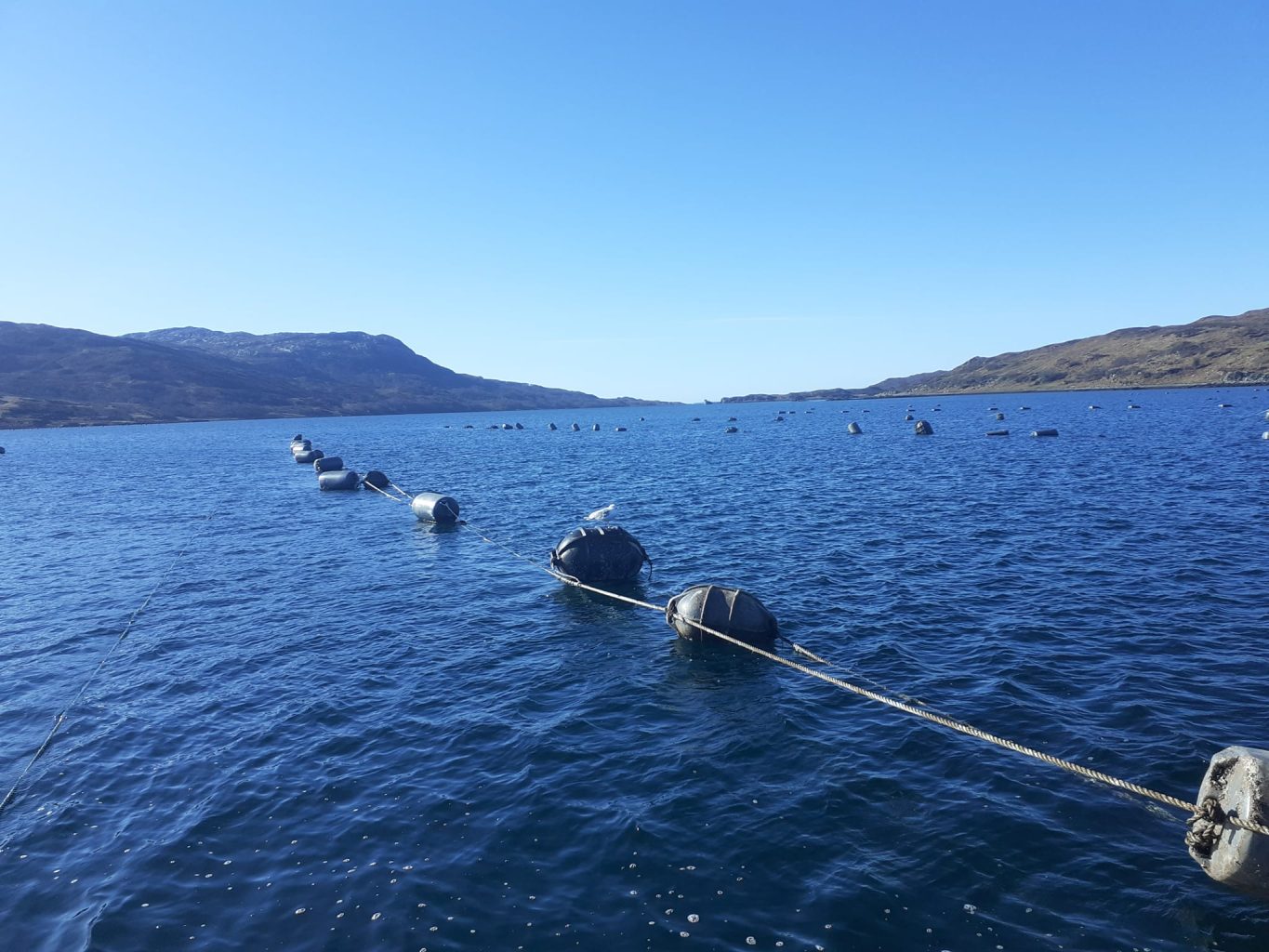 Food and Drink Experiences - Loch Eishort Mussel Culture